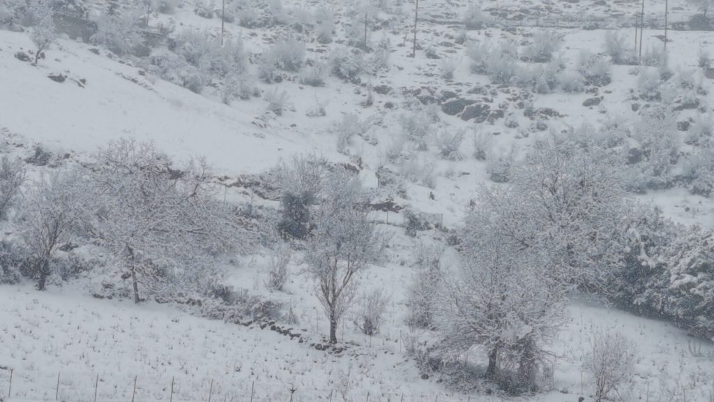 Σιάτιστα - Δείτε (2)video έκπληξη με τα παιδιά που κάνουν Γκλίστρα ...